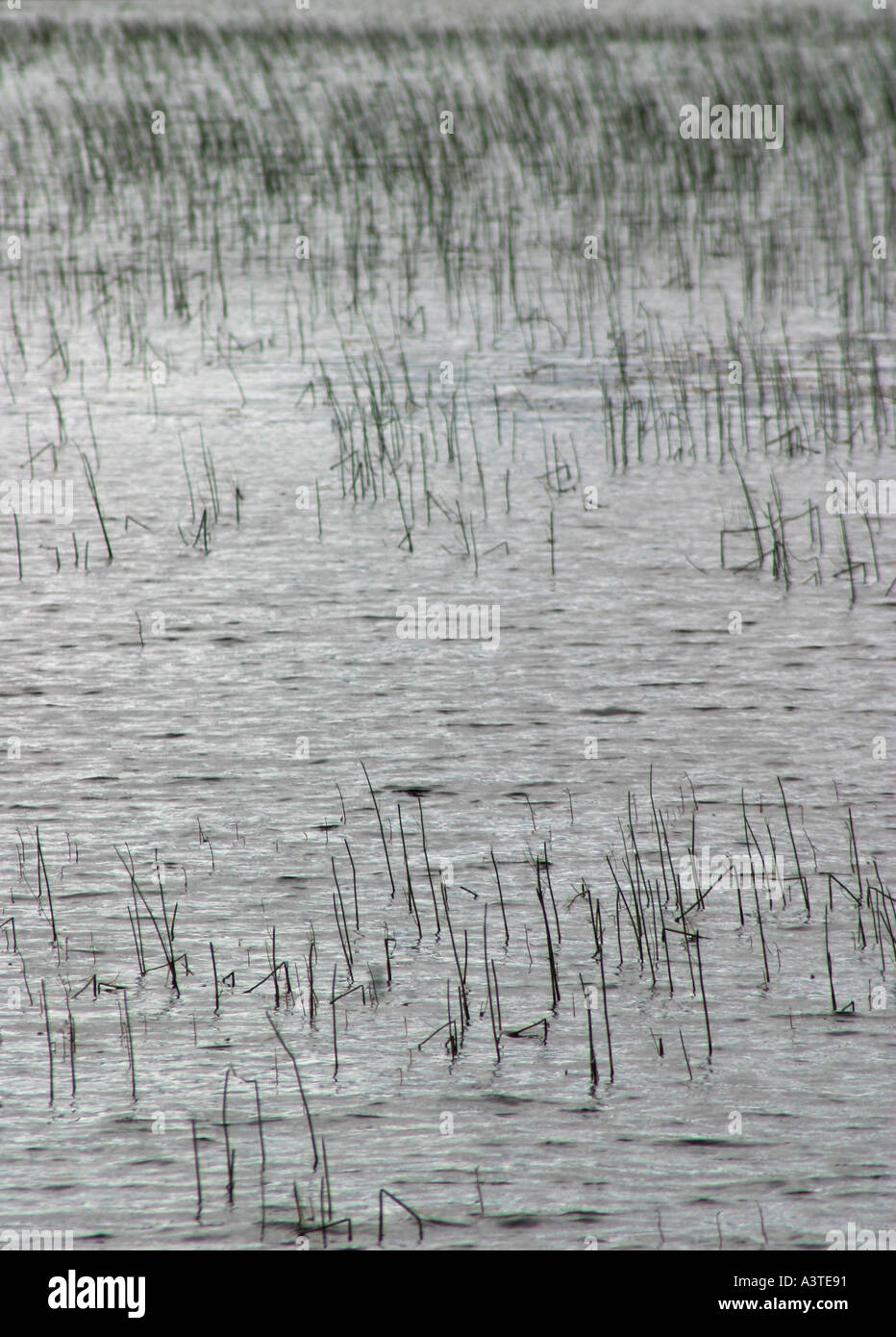 Doune Braes Hotel Carloway Hebrides Stock Photo - Alamy