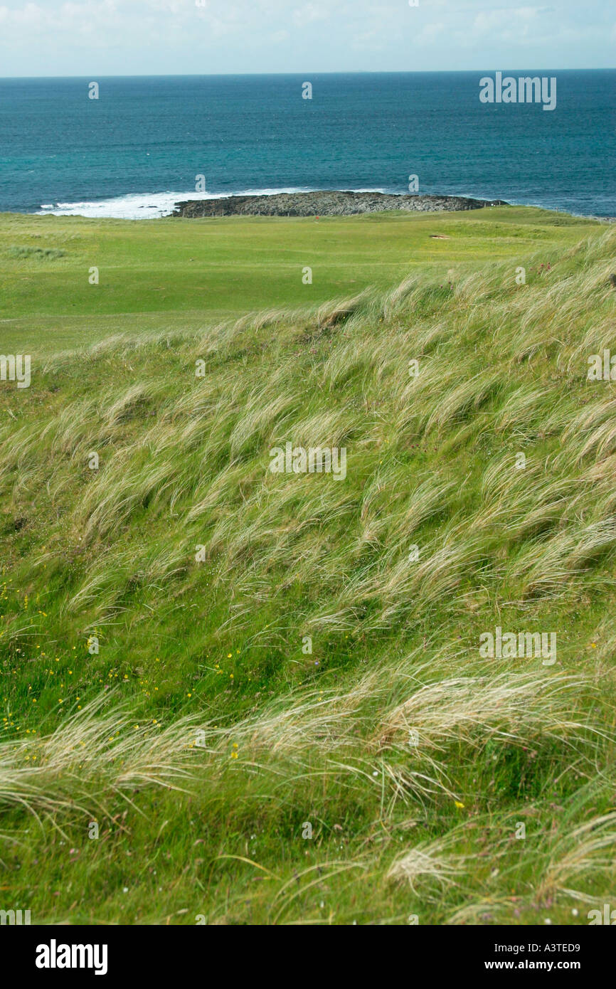 Harris Golf Club Isle of Harris Hebrides UK Stock Photo - Alamy
