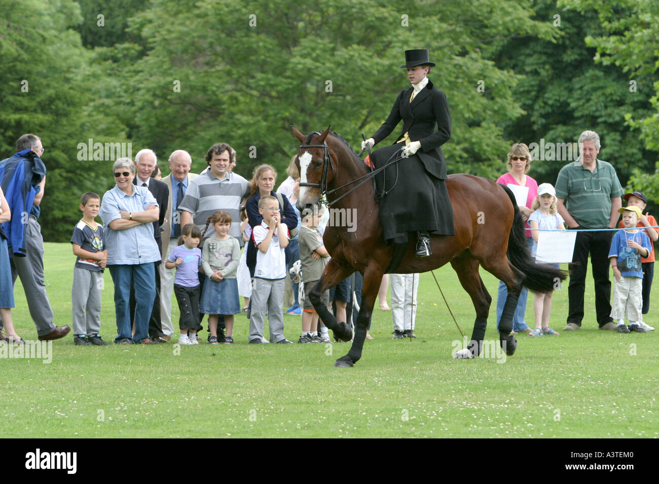 Recreation equestrian hobby great outdoors activity hi-res stock ...