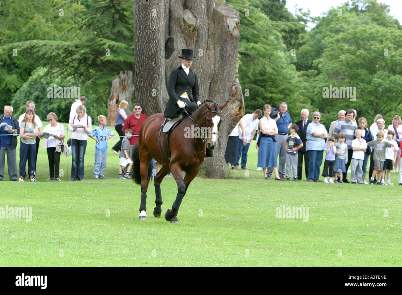Woman riding side saddle hi-res stock photography and images - Alamy