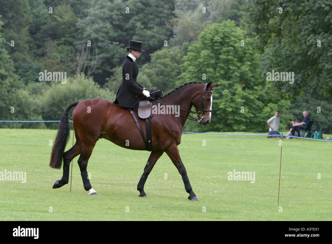 Side saddle rider hi-res stock photography and images - Alamy