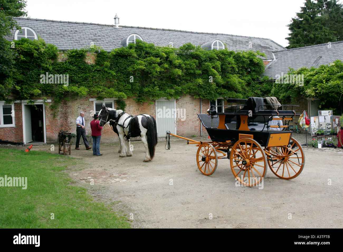 Rural stage horses in hi-res stock photography and images - Alamy