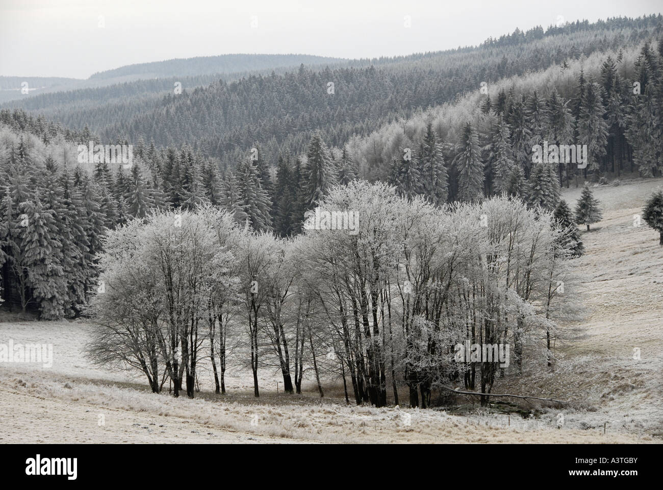 Landscape in thuringia hi-res stock photography and images - Alamy