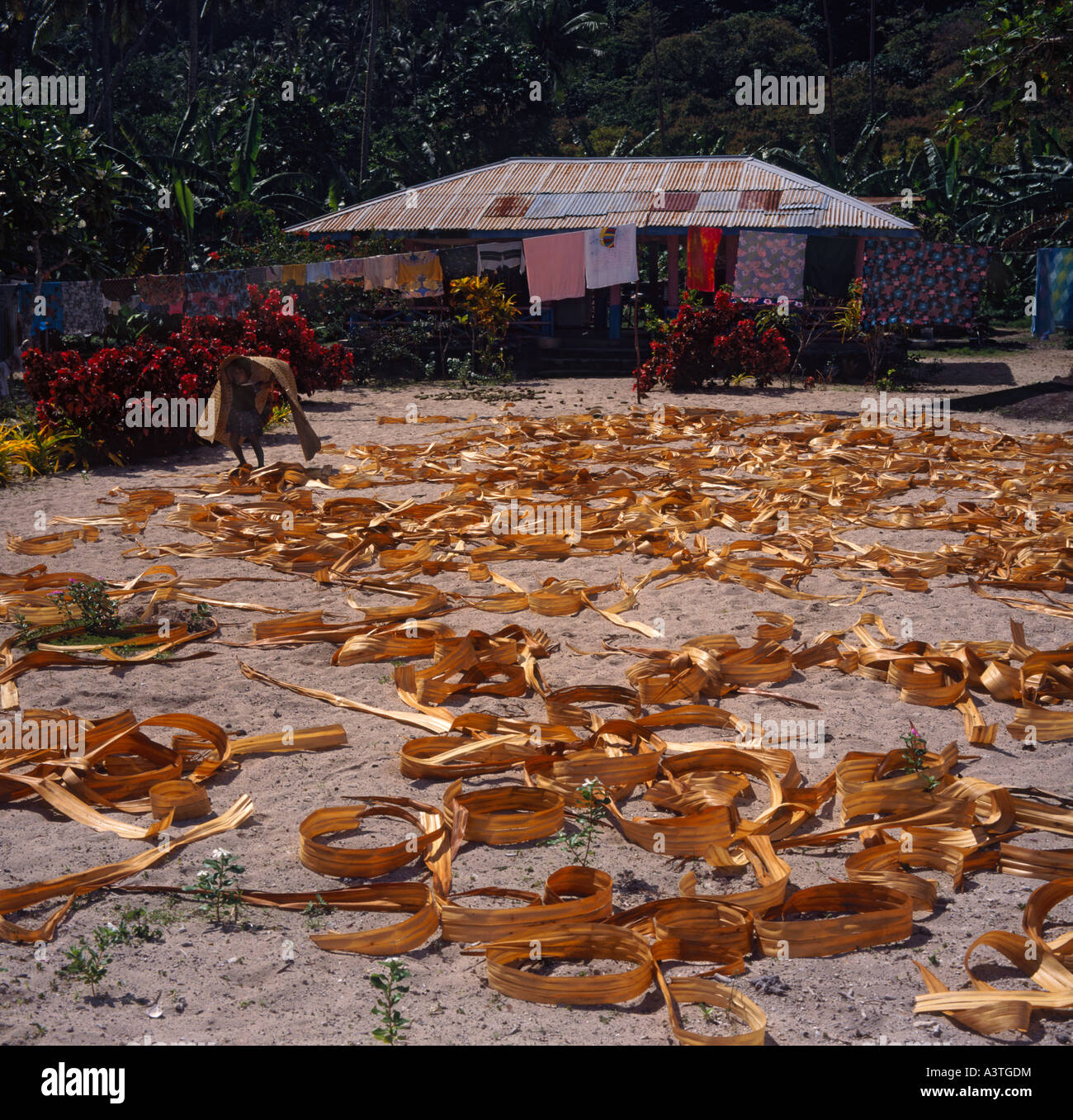 Samoan house hi-res stock photography and images - Alamy