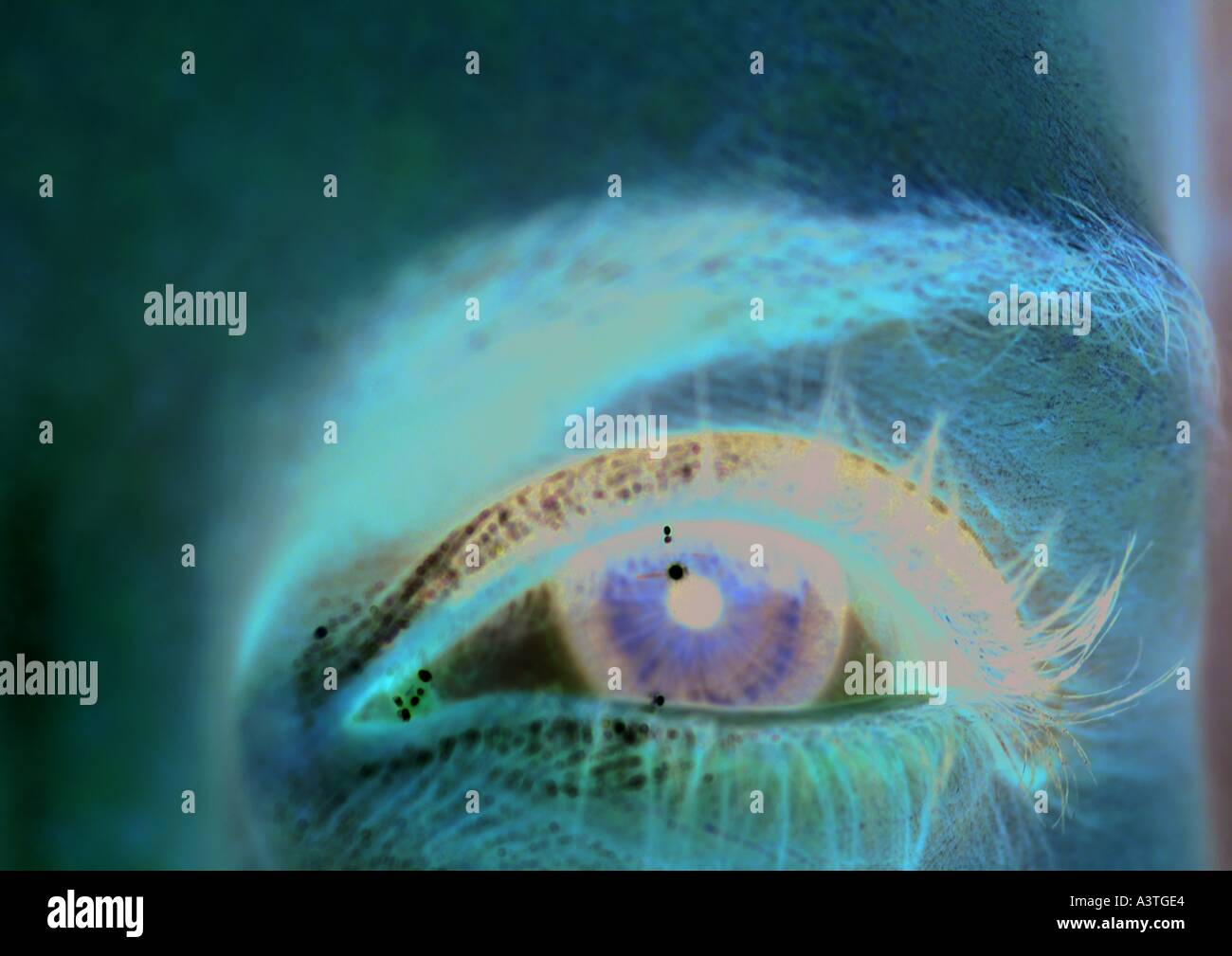 Face Close ups Female Stock Photo - Alamy