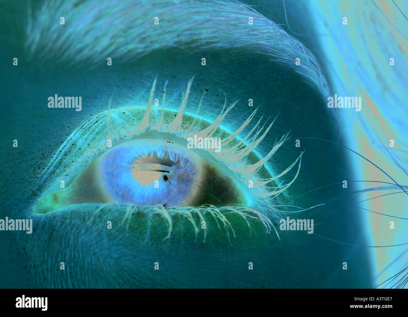 Face Close ups Female Stock Photo - Alamy