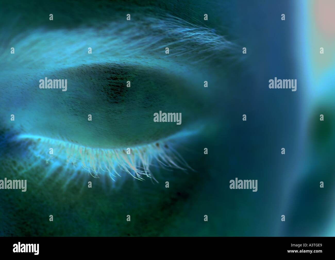 Face Close ups Female Stock Photo - Alamy