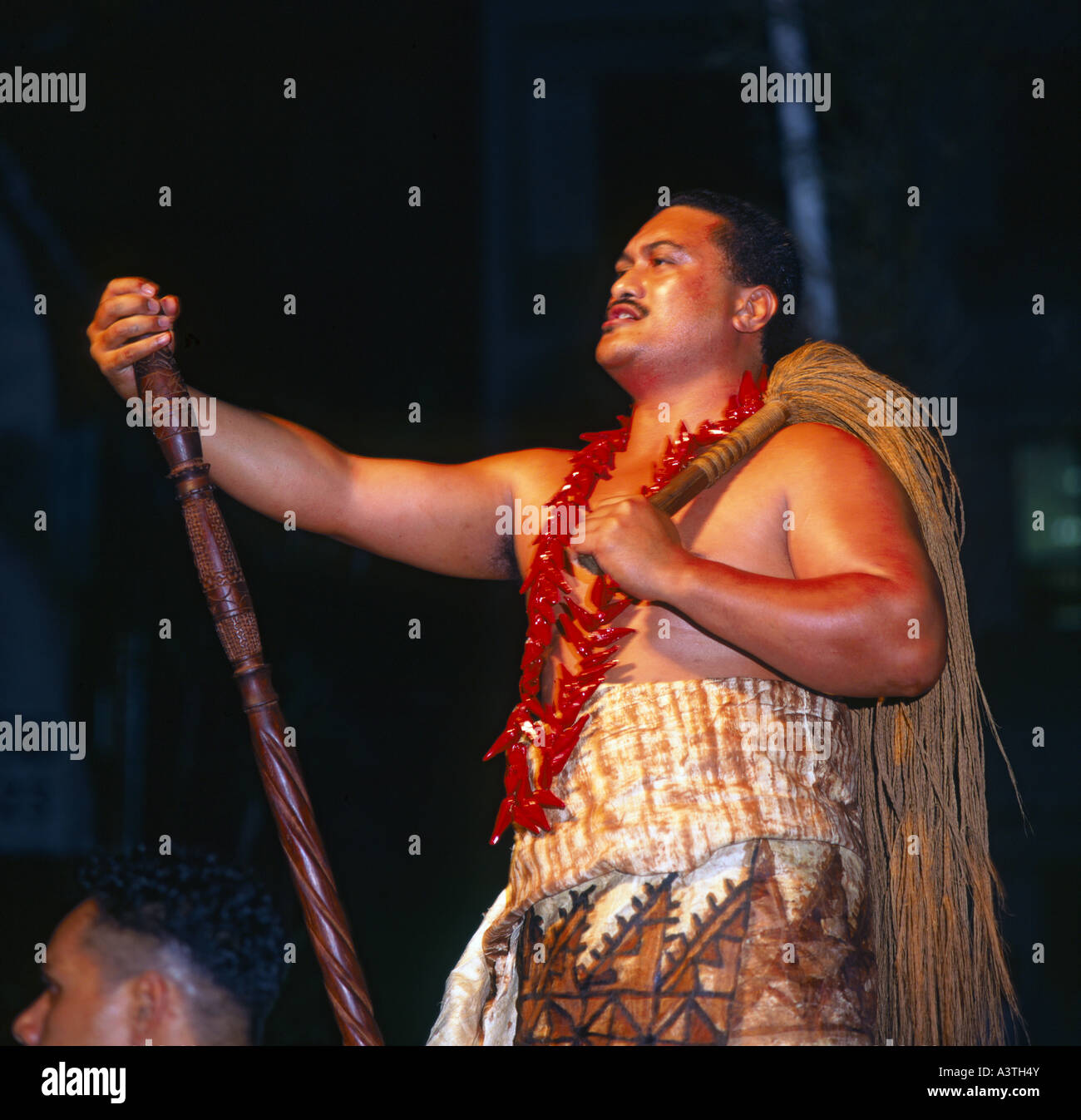 Close up of local Samoan Talking Chief with traditional fly whisk ...