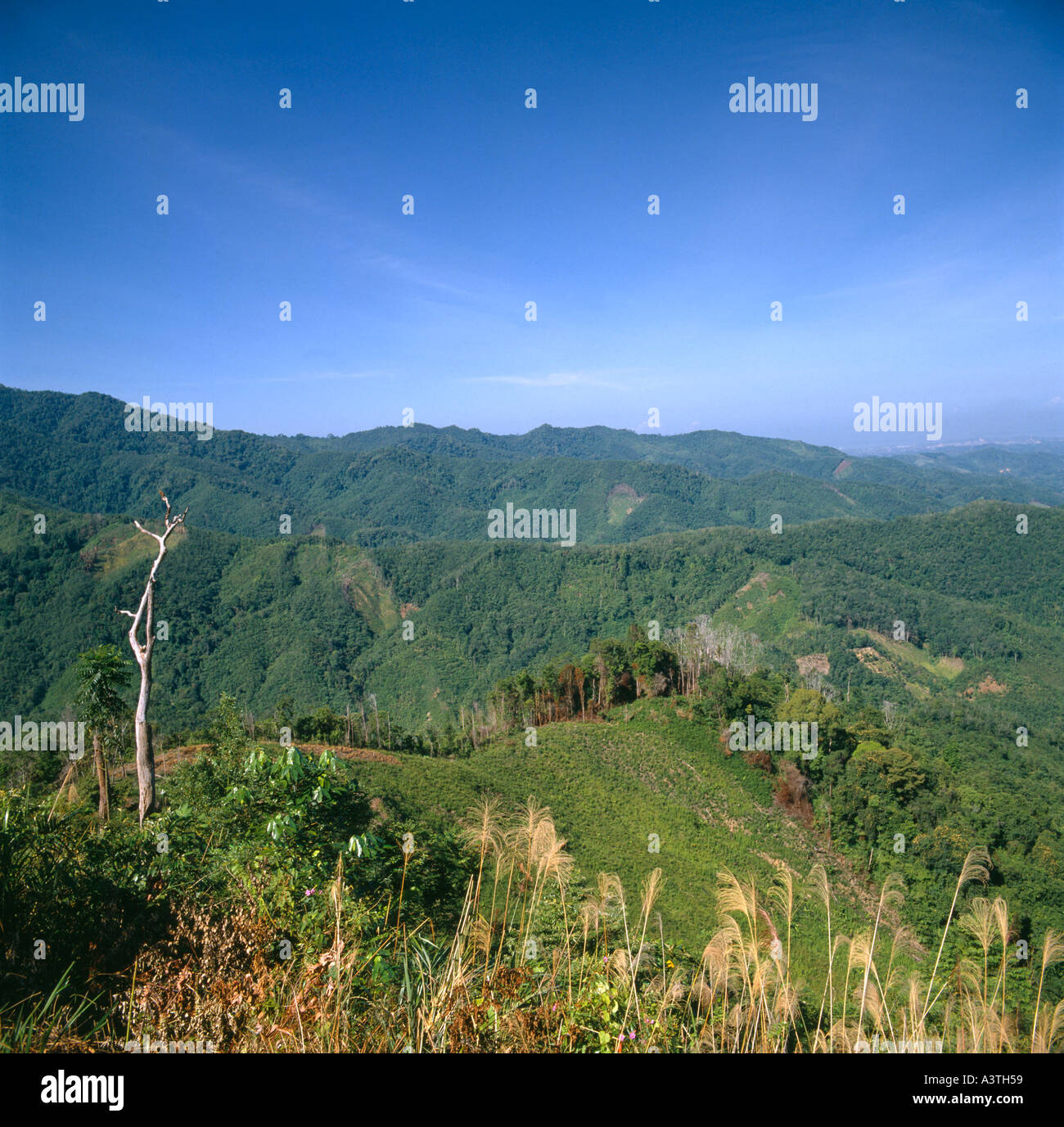 Sabah hillside view Stock Photo - Alamy
