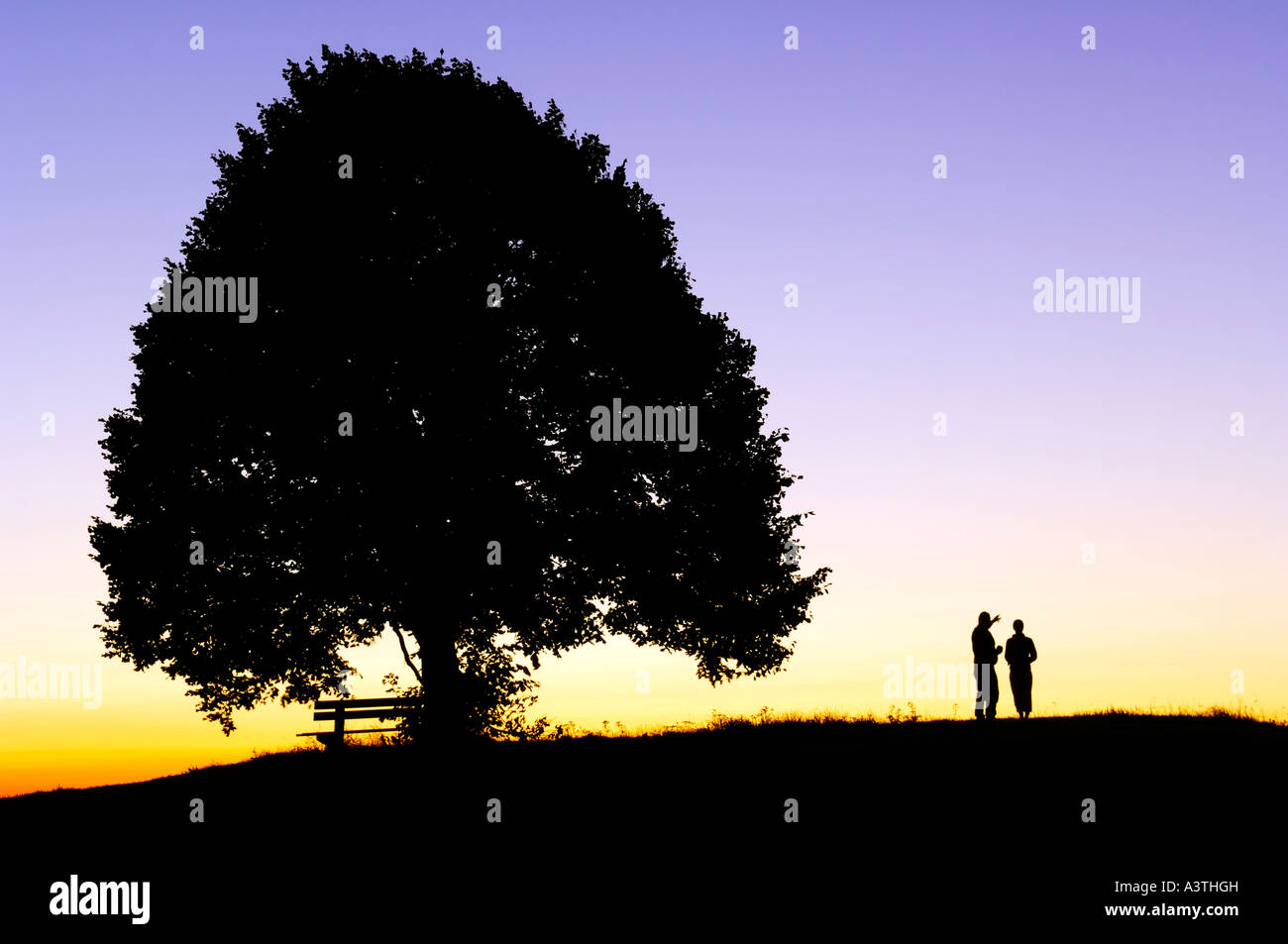 Two persons standing on the right side of a linden tree during the blue ...