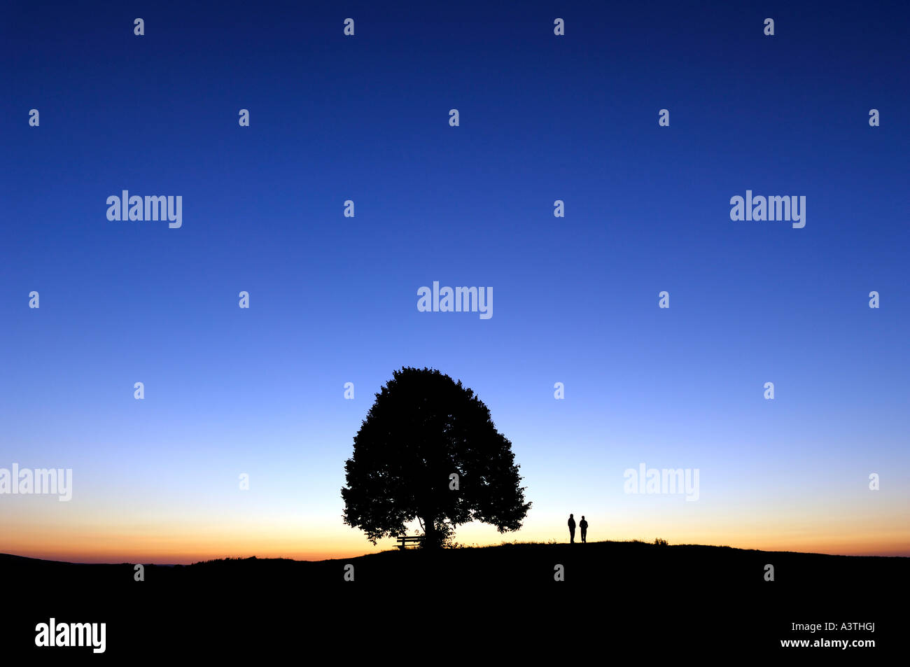 Two persons standing on the right side of a linden tree during the blue ...