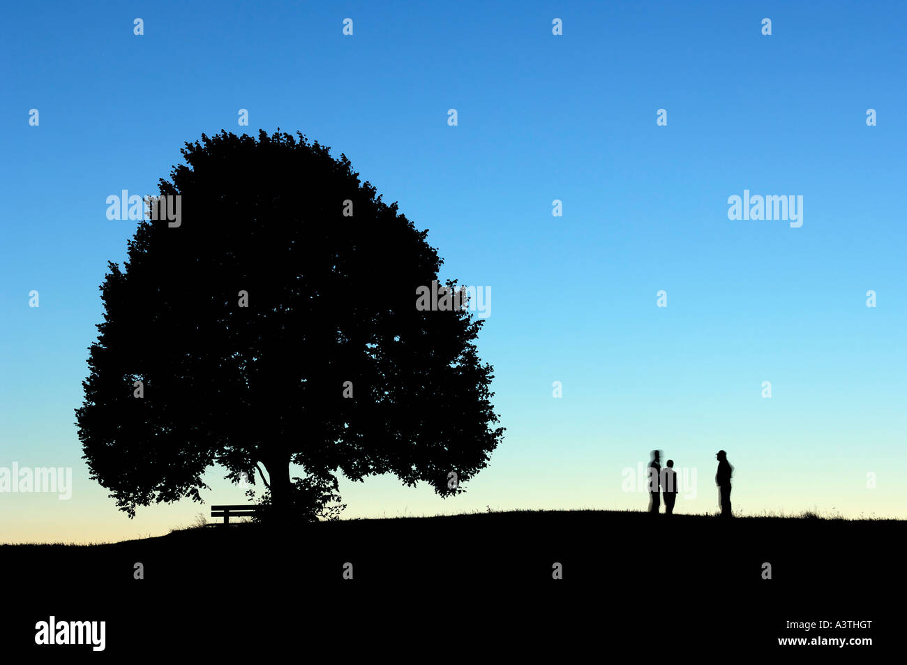 Two persons standing on the right side of a linden tree during the blue ...