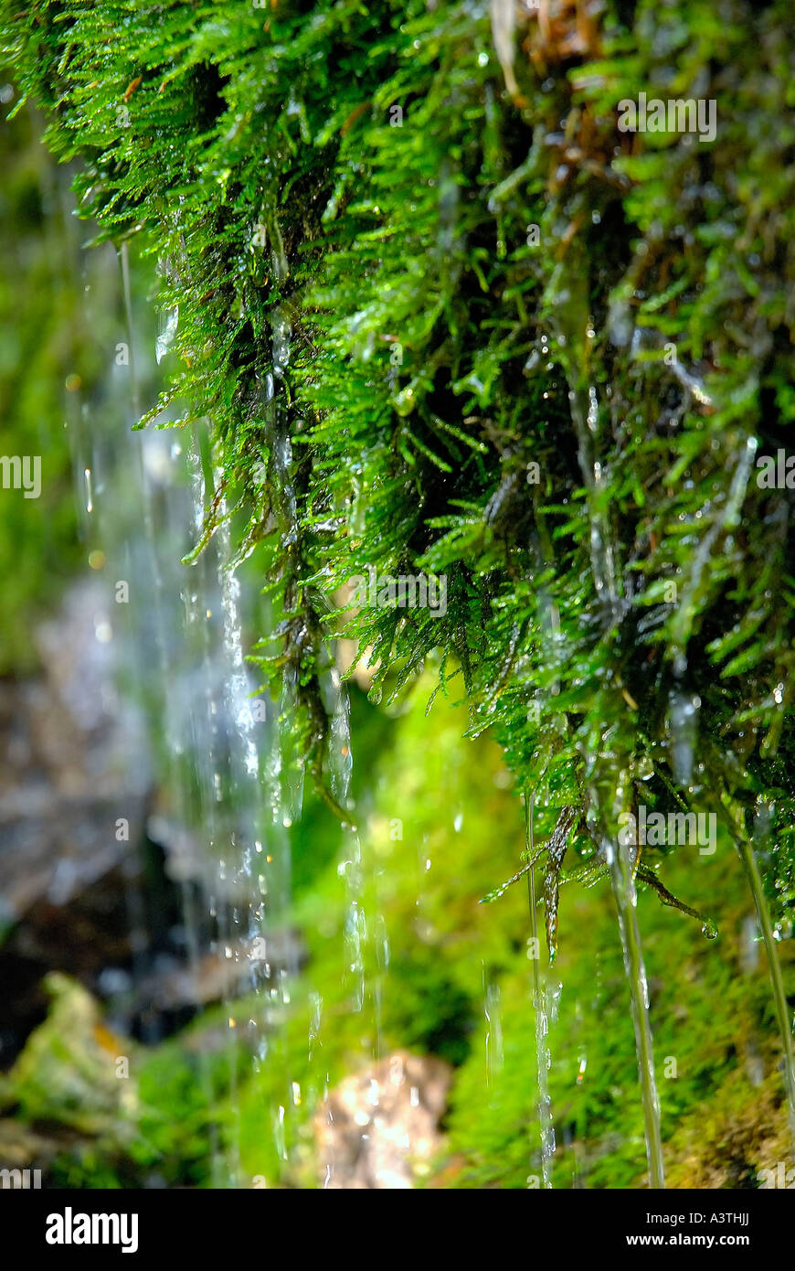 Hanging waterfall hi-res stock photography and images - Alamy
