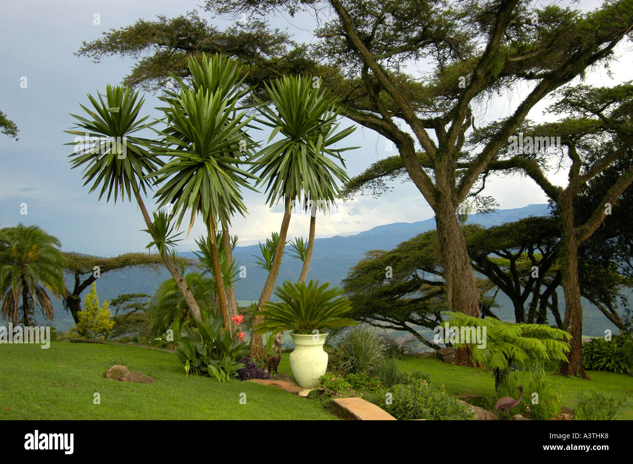 Vumba hi-res stock photography and images - Alamy