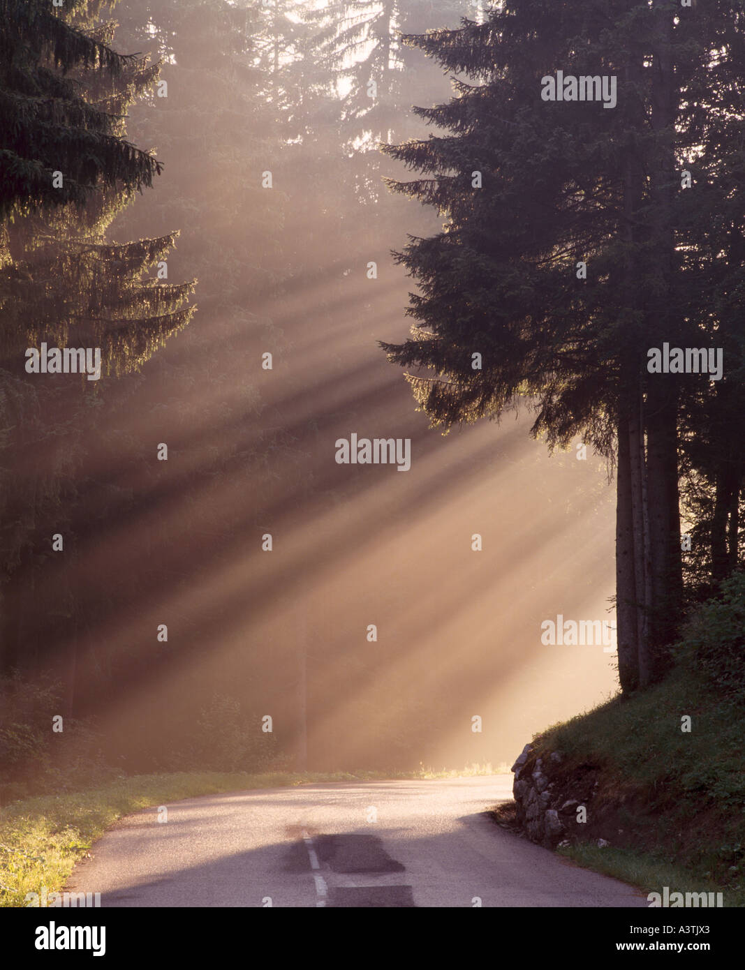 Sunlight shafts hi-res stock photography and images - Alamy