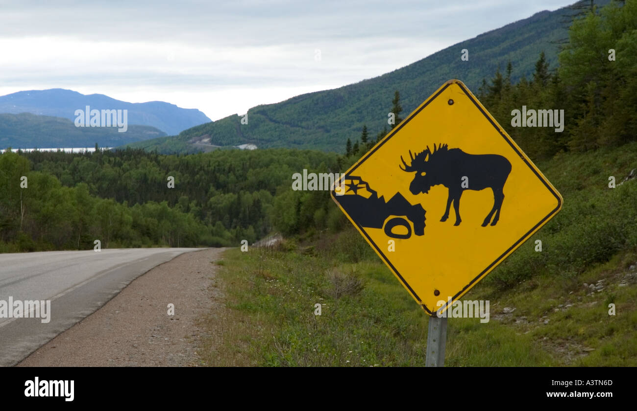 Canada Newfoundland Gros Morne National Park moose warning sign Stock ...