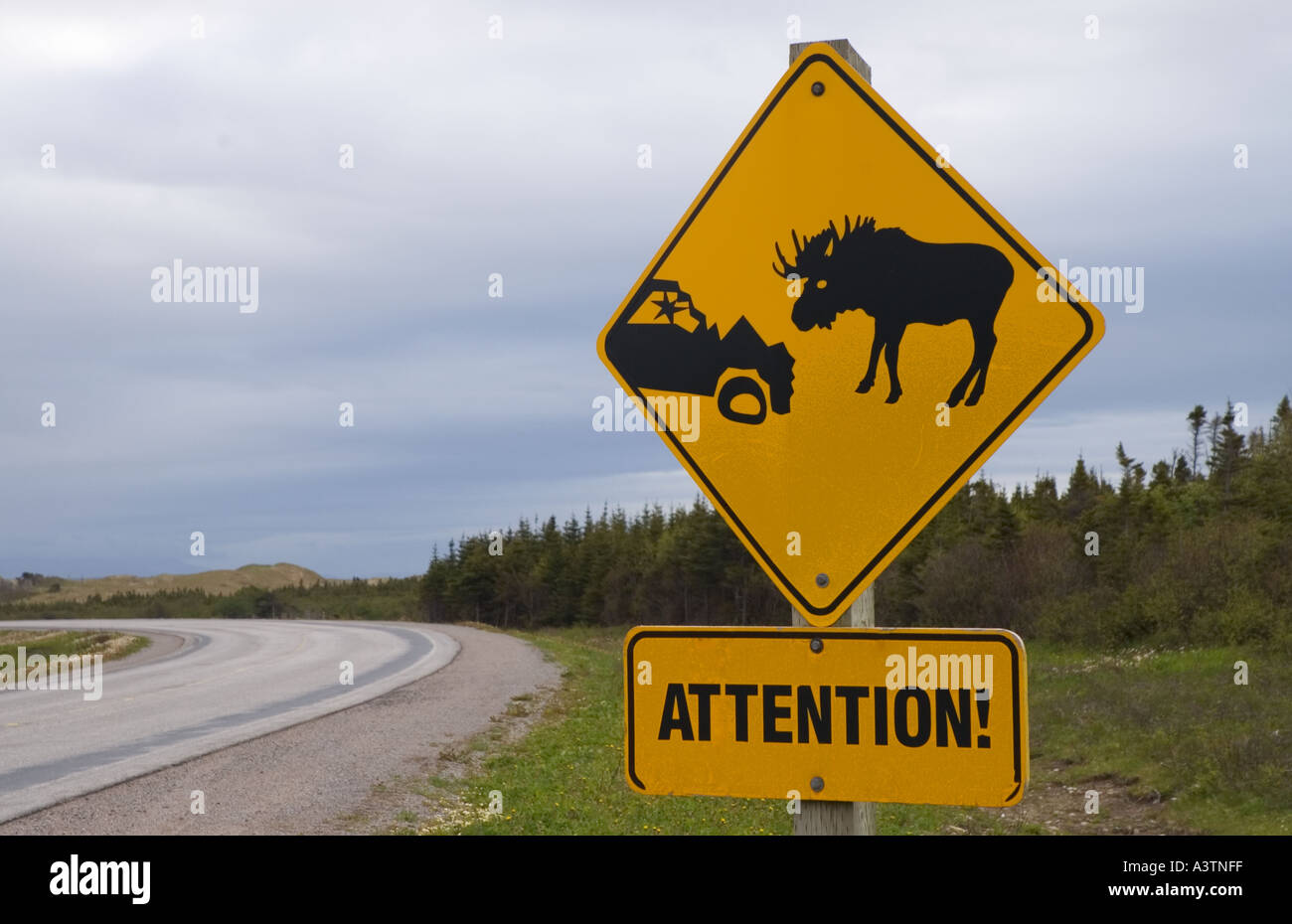 Canada Newfoundland Gros Morne National Park moose warning sign Stock ...