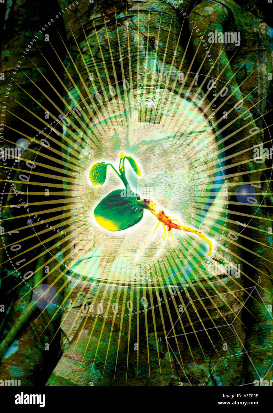 Superimposed code hi-res stock photography and images - Alamy