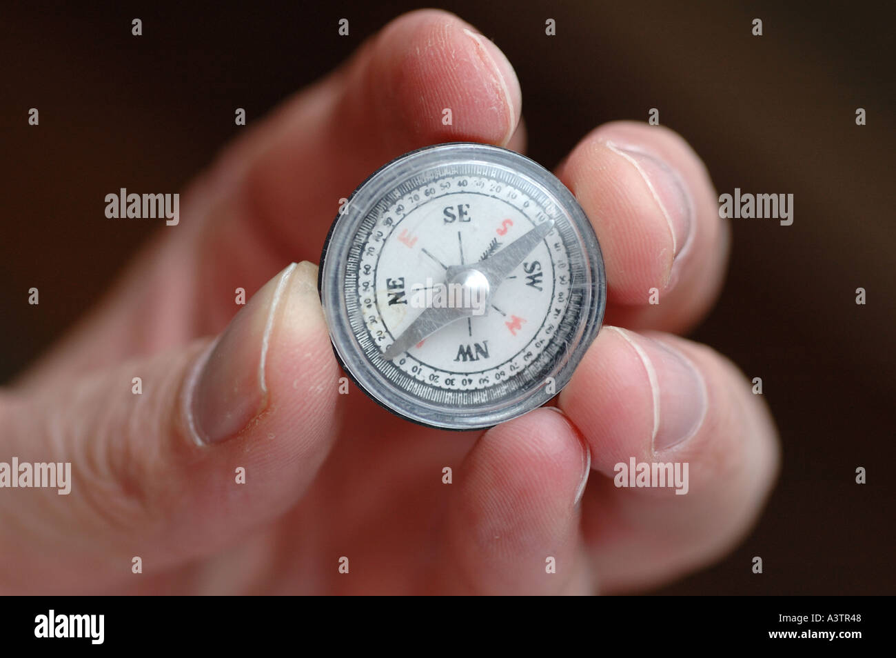 Hand holding toy compass Stock Photo - Alamy