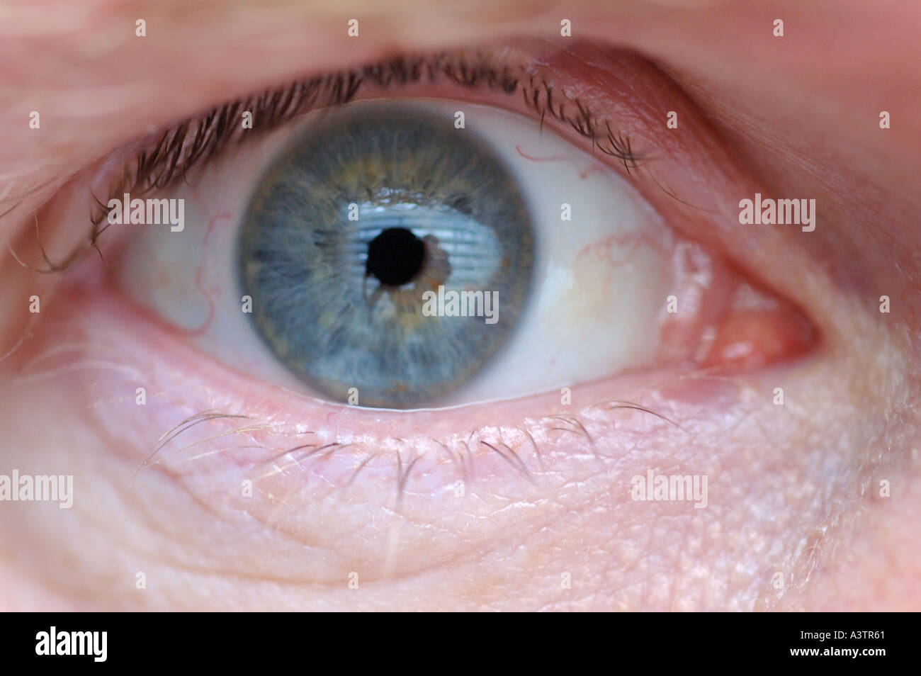 Simple eye hi-res stock photography and images - Alamy