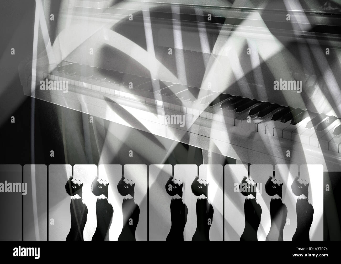 Mono string instrument hi-res stock photography and images - Alamy