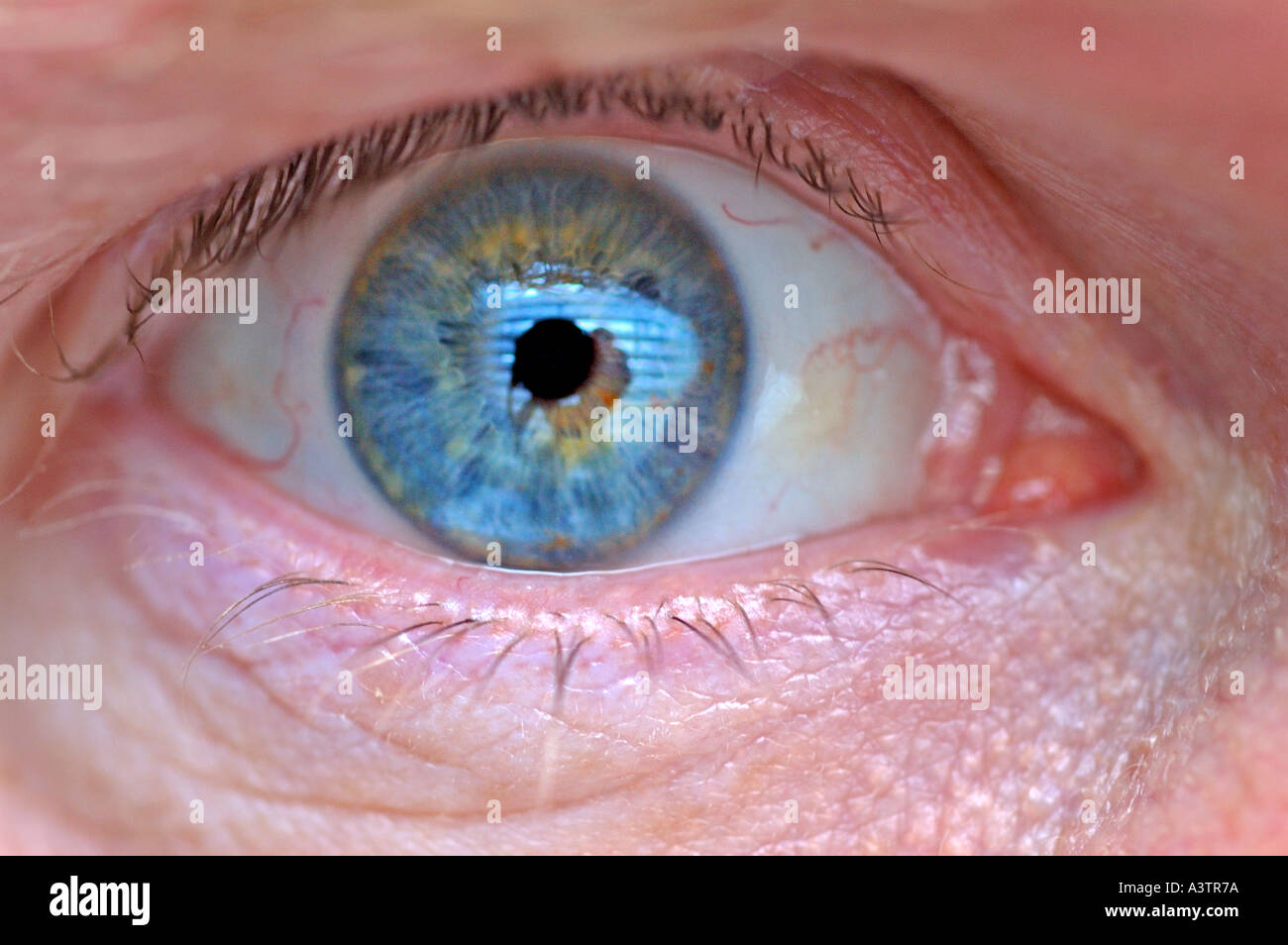 His eye hi-res stock photography and images - Alamy