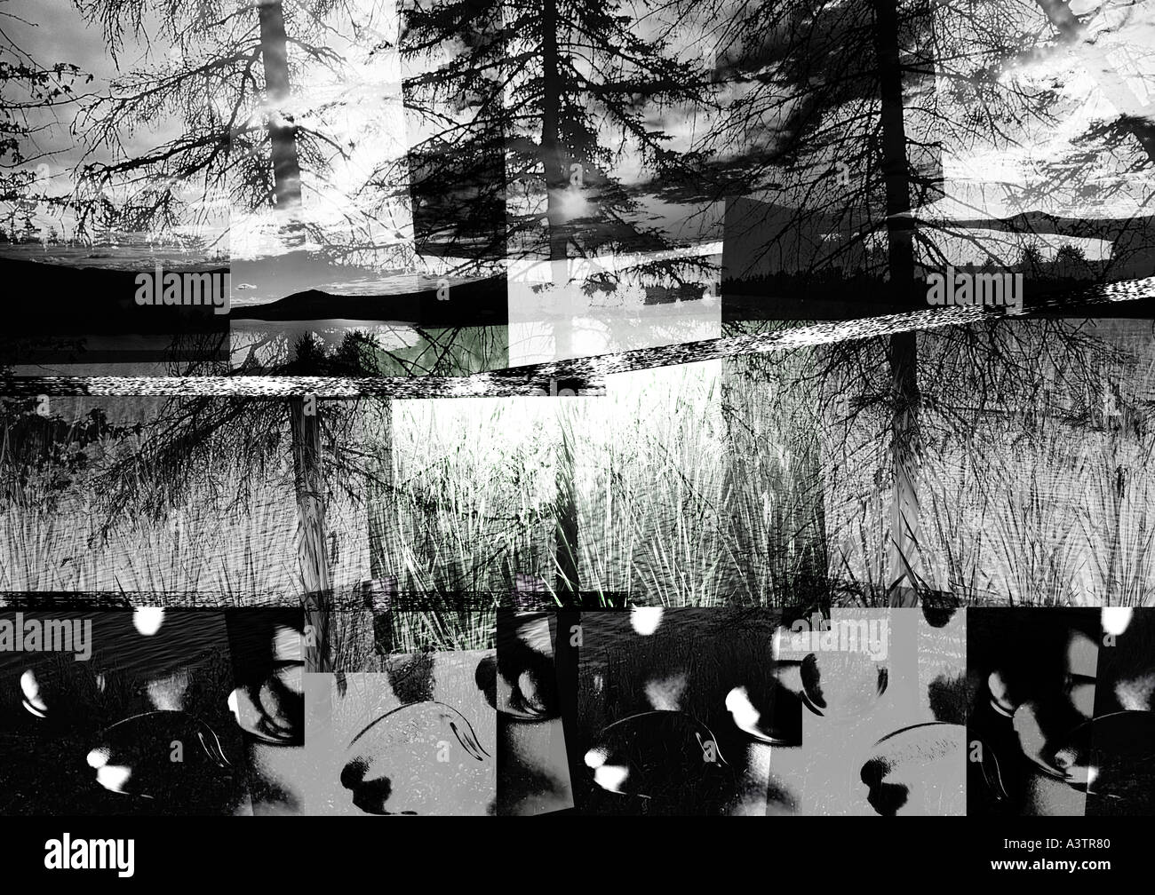 Mono Color View Stock Photo - Alamy