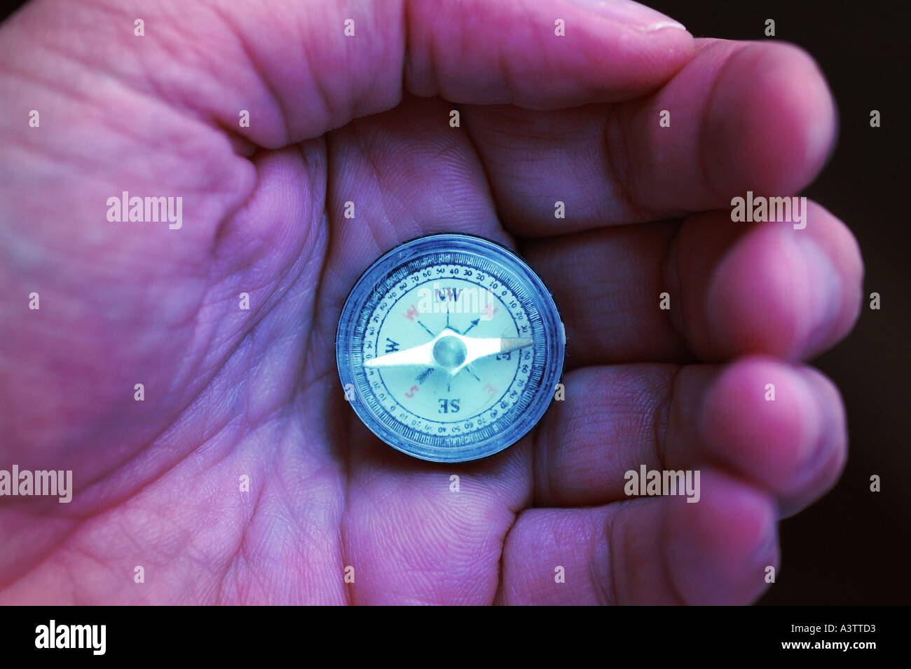 Hand holding a toy Compass Stock Photo - Alamy