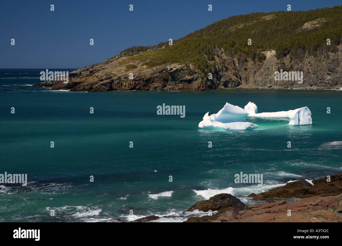 Canada Newfoundland Bonavista Peninsula Blackhead Bay iceberg Stock ...