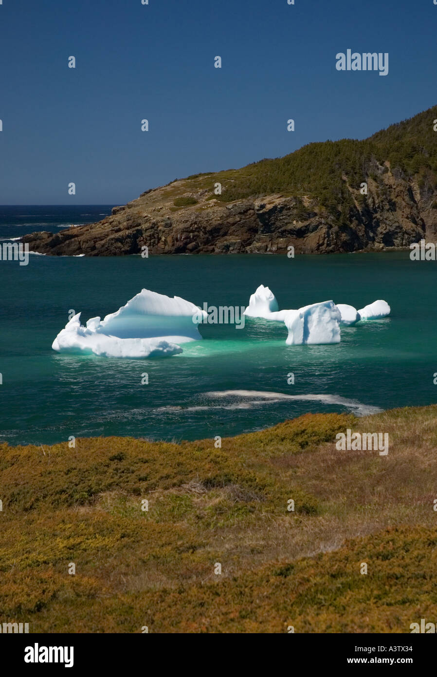 Canada Newfoundland Bonavista Peninsula Blackhead Bay iceberg Stock ...