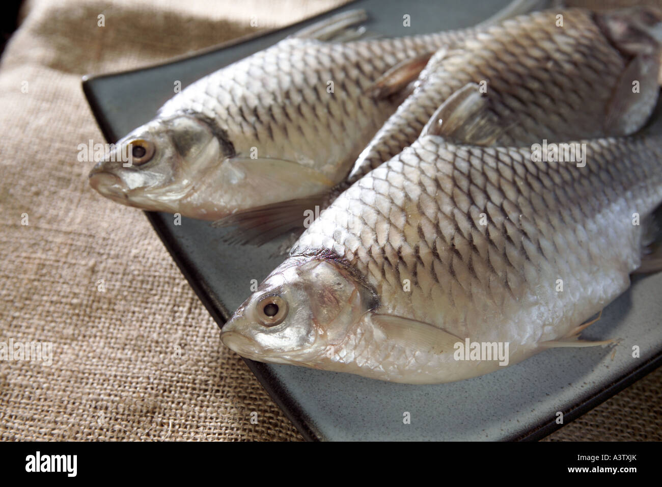 Asian Fish in Indian Restaurant Country of Origin Bangladesh Stock ...