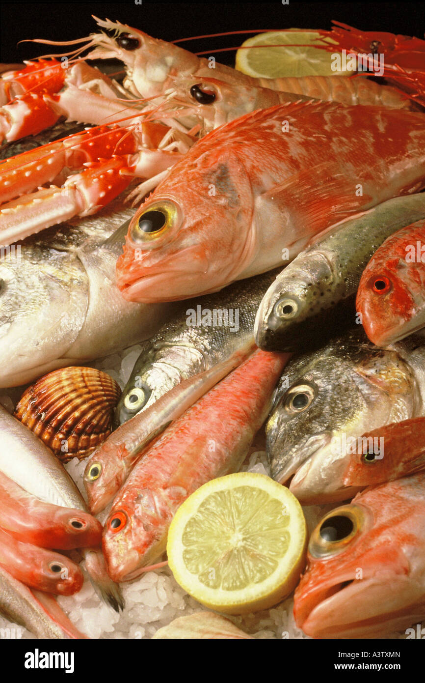 Fish still life Stock Photo - Alamy