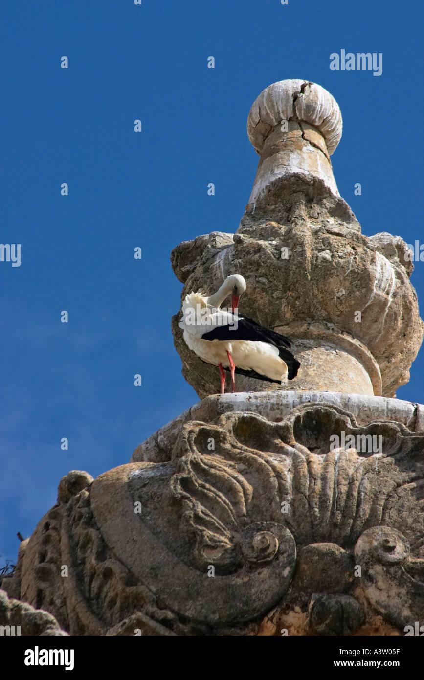 stork sitting on tower Stock Photo - Alamy