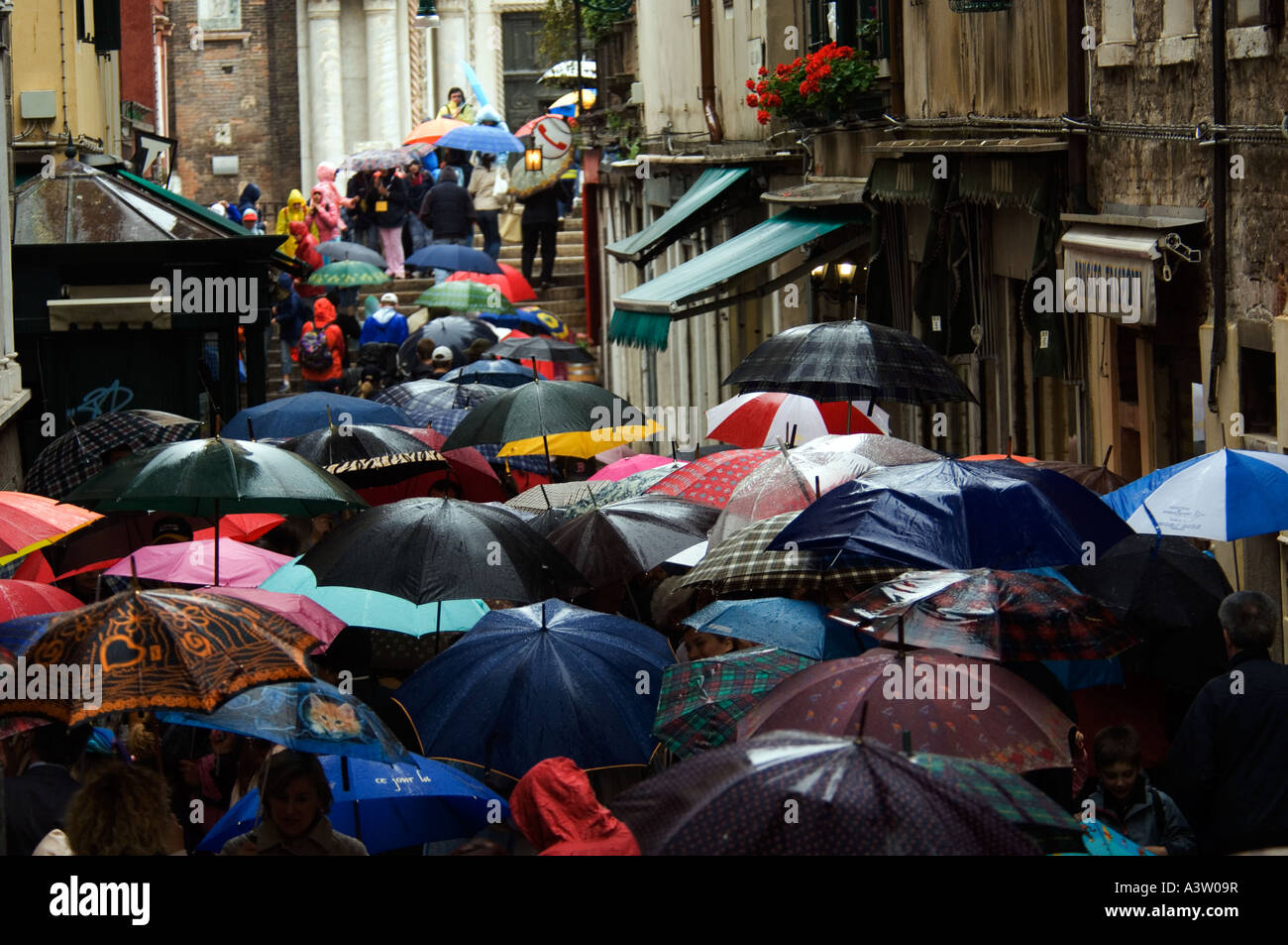 Umbrellas in rain venice italy hi-res stock photography and images - Alamy
