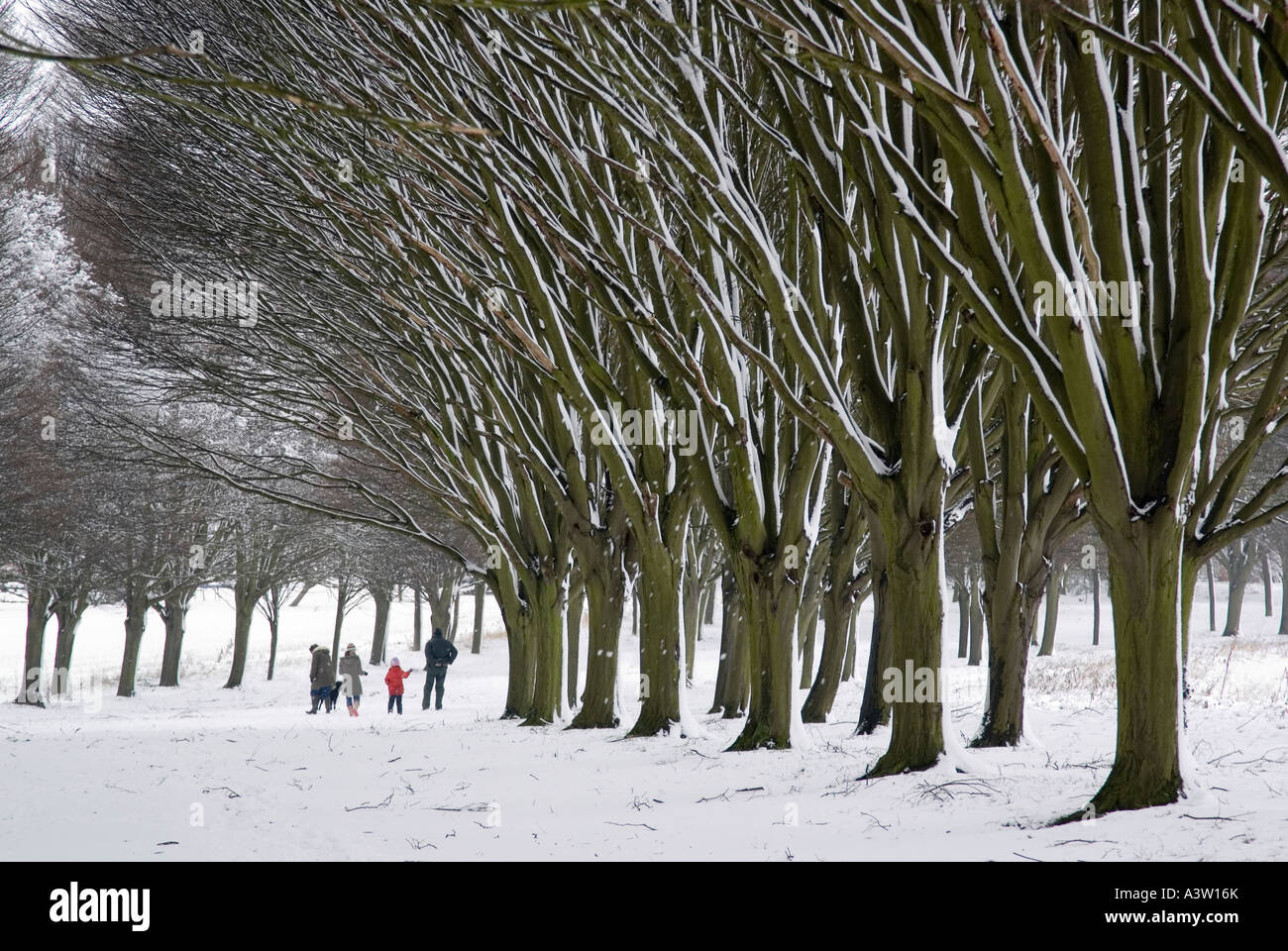 Radley college oxfordshire hi-res stock photography and images - Alamy