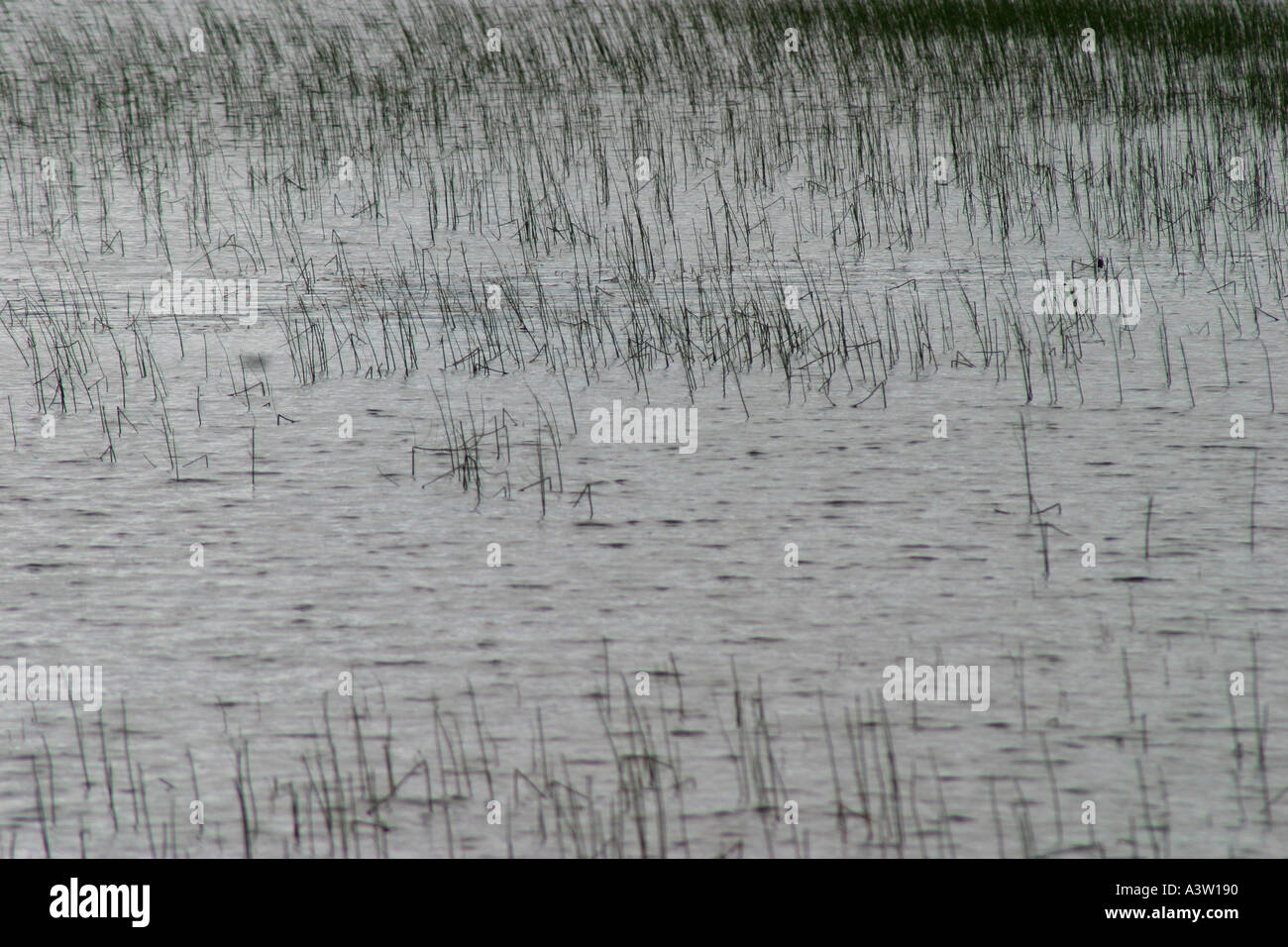Doune Braes Hotel Carloway Hebrides Stock Photo - Alamy
