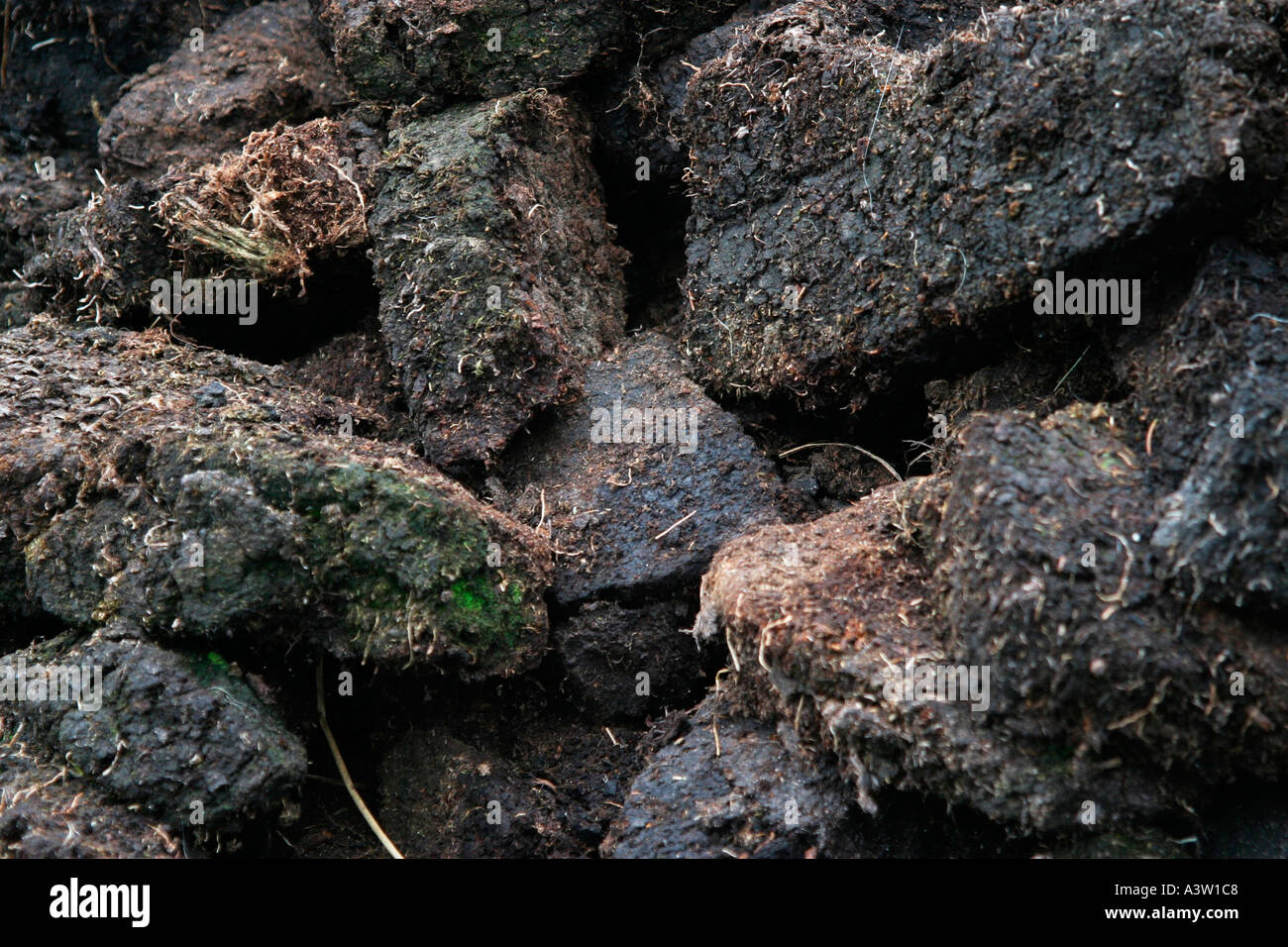 Traditional wool dyeing Soay Studio West Tarbert Harris The Hebrides ...