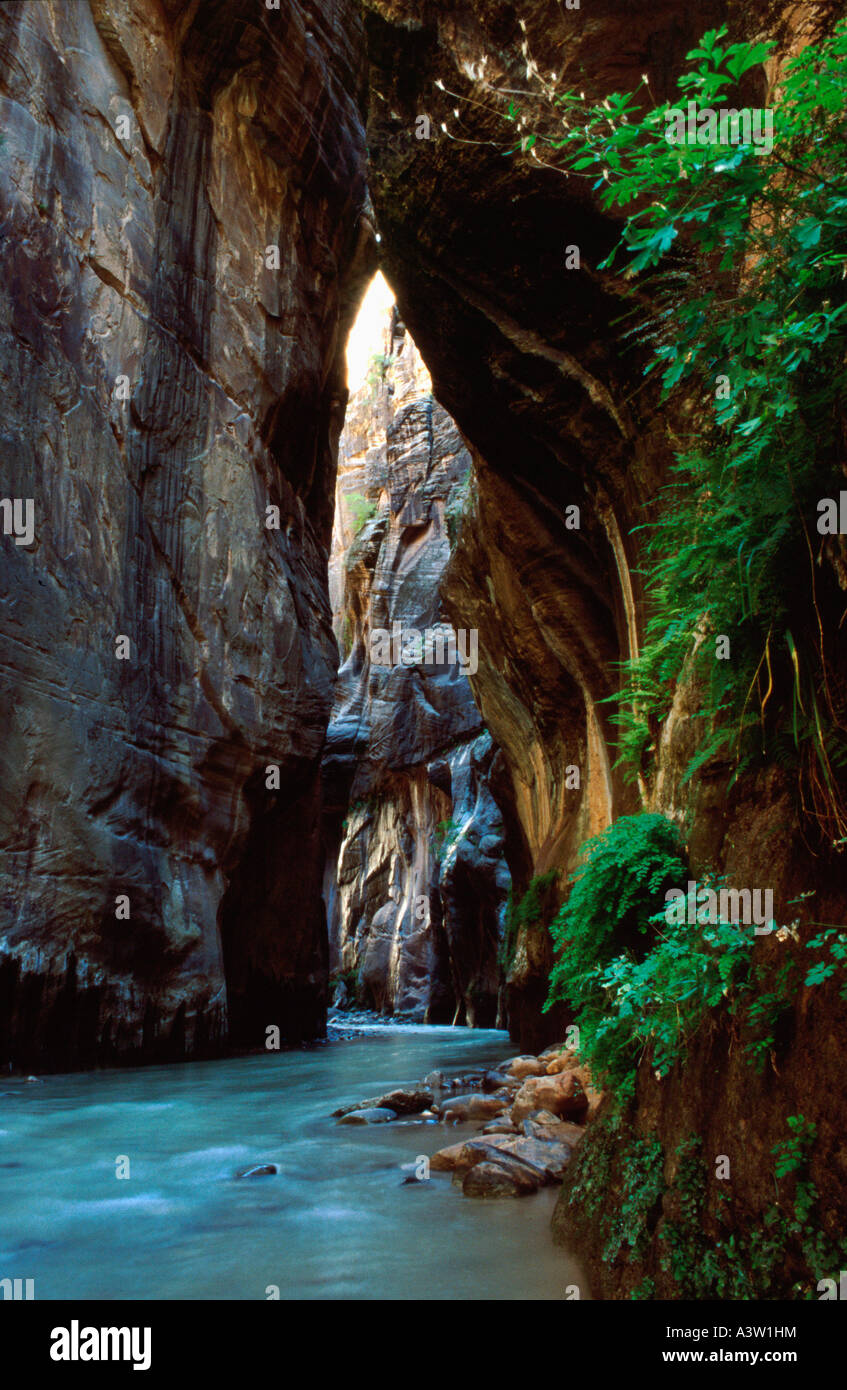 Virgin river landscape hi-res stock photography and images - Alamy
