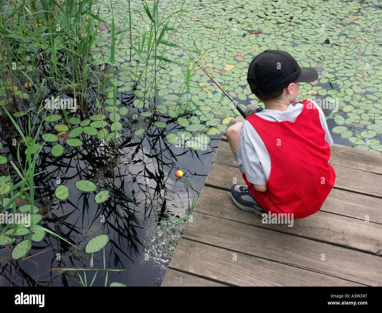 Boy fishing on pond dock Stock Photo - Alamy