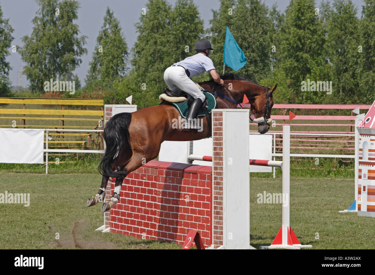 Black horse jump log hi-res stock photography and images - Alamy