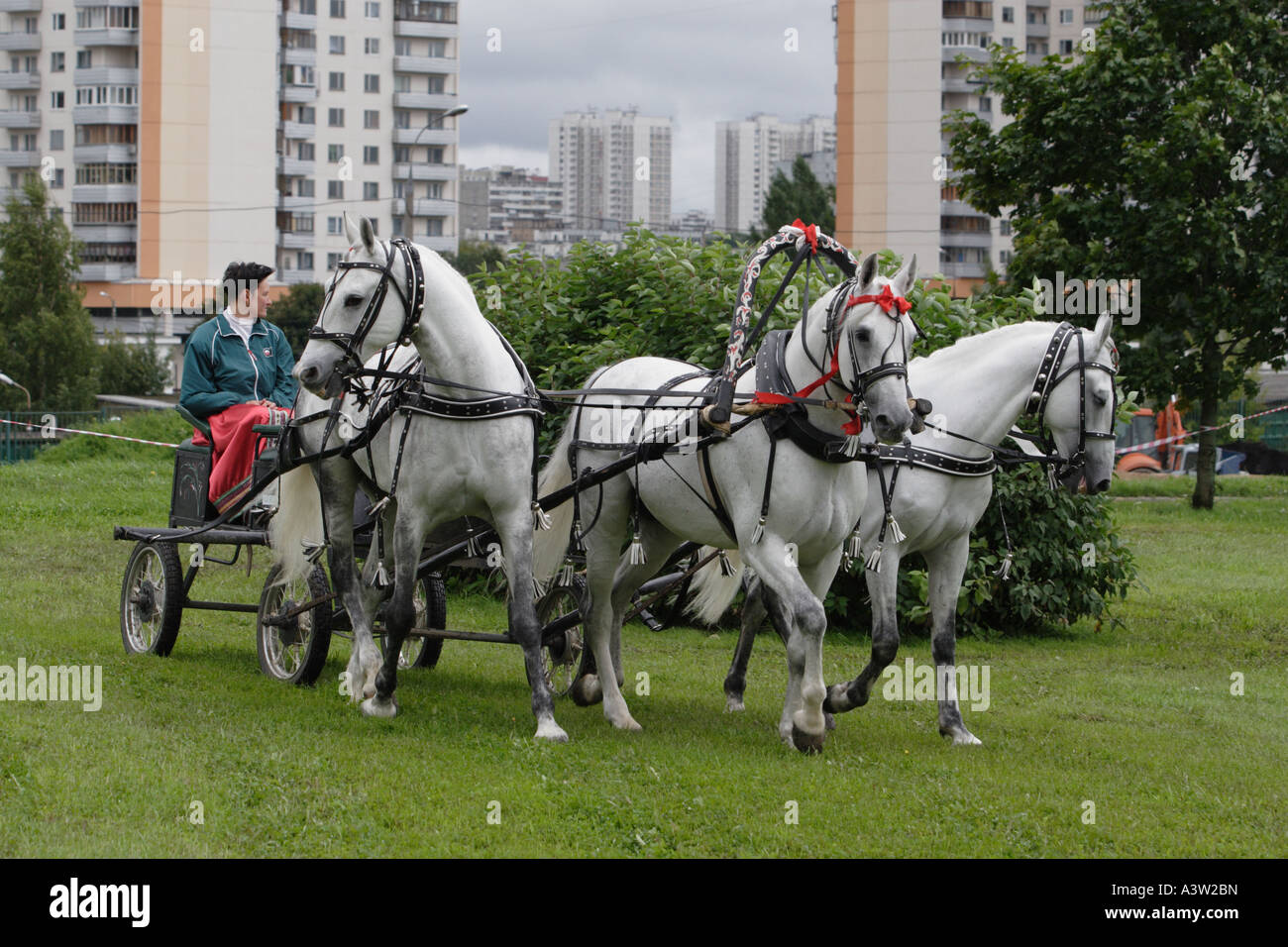 A traditional russian troika hi-res stock photography and images - Alamy