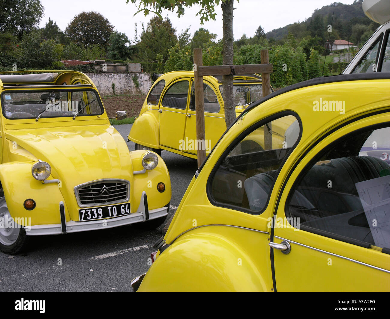 Yellow Citron Cars parked Stock Photo - Alamy