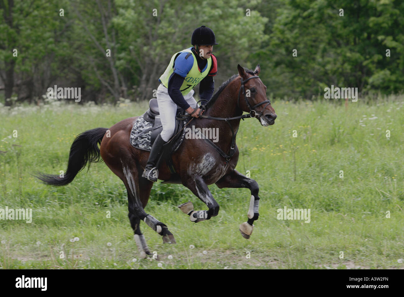 British eventer hi-res stock photography and images - Alamy