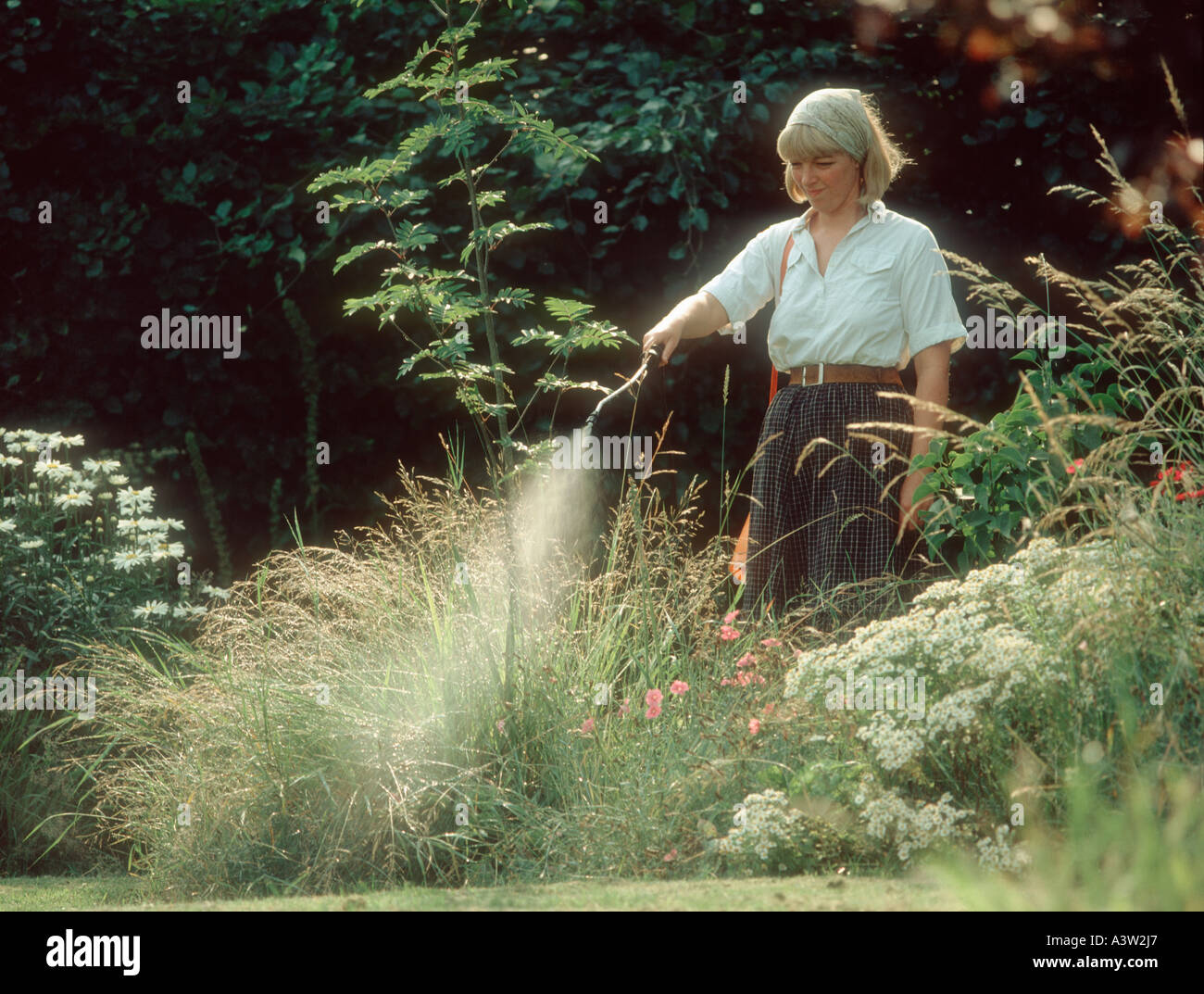 Woman spraying weeds hi-res stock photography and images - Alamy
