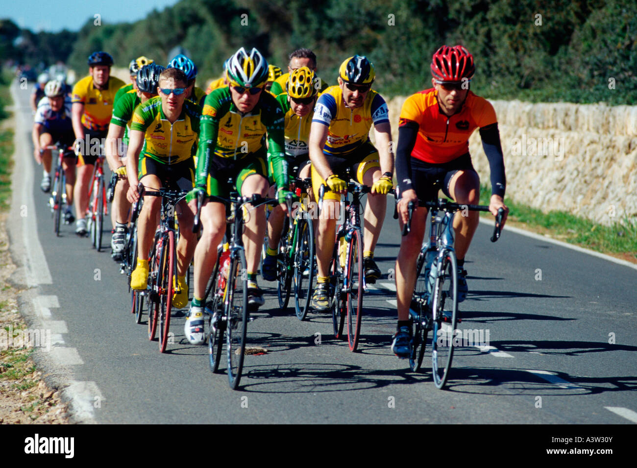 Racing cyclist Stock Photo - Alamy