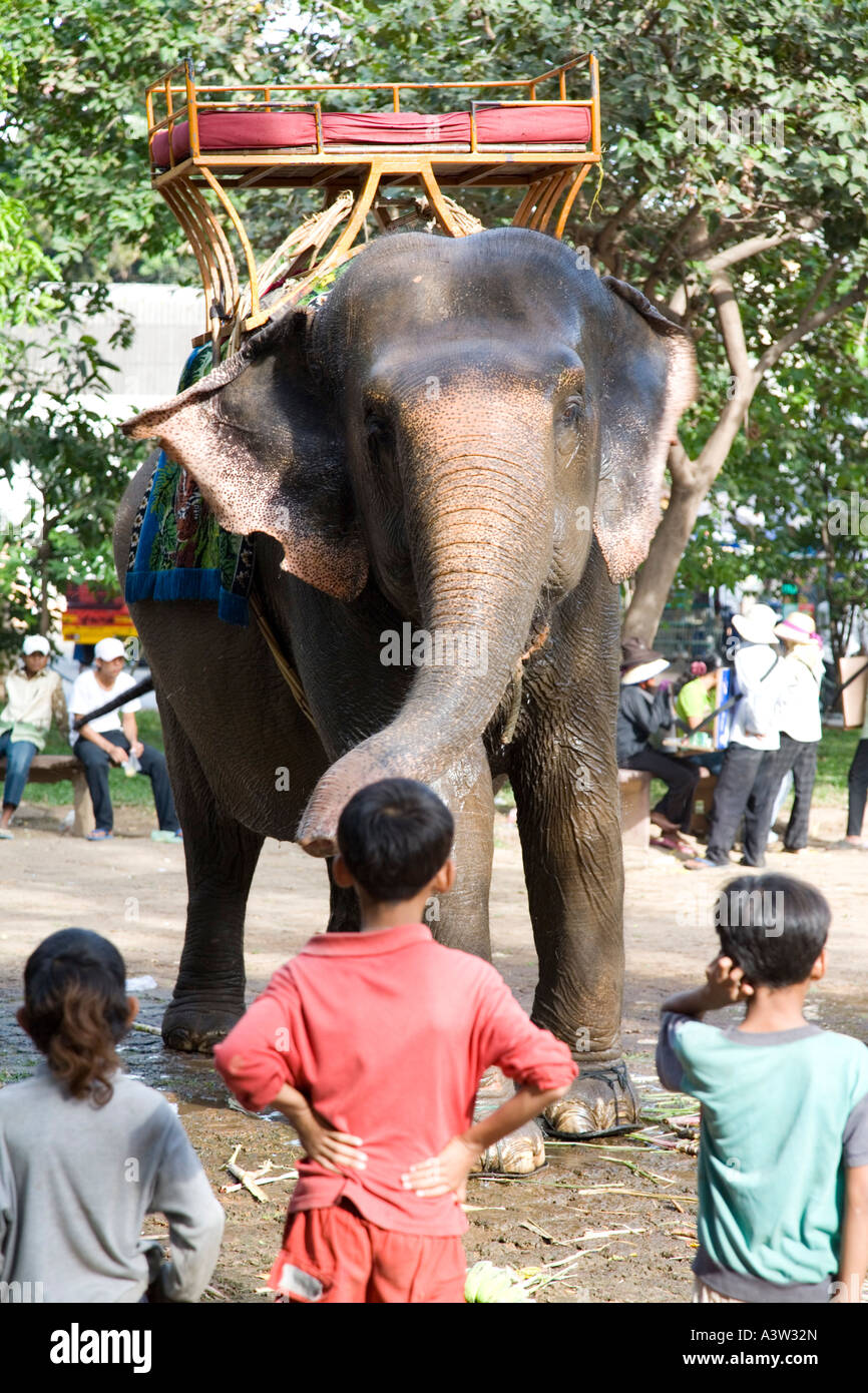 Bo the elephant hi-res stock photography and images - Alamy