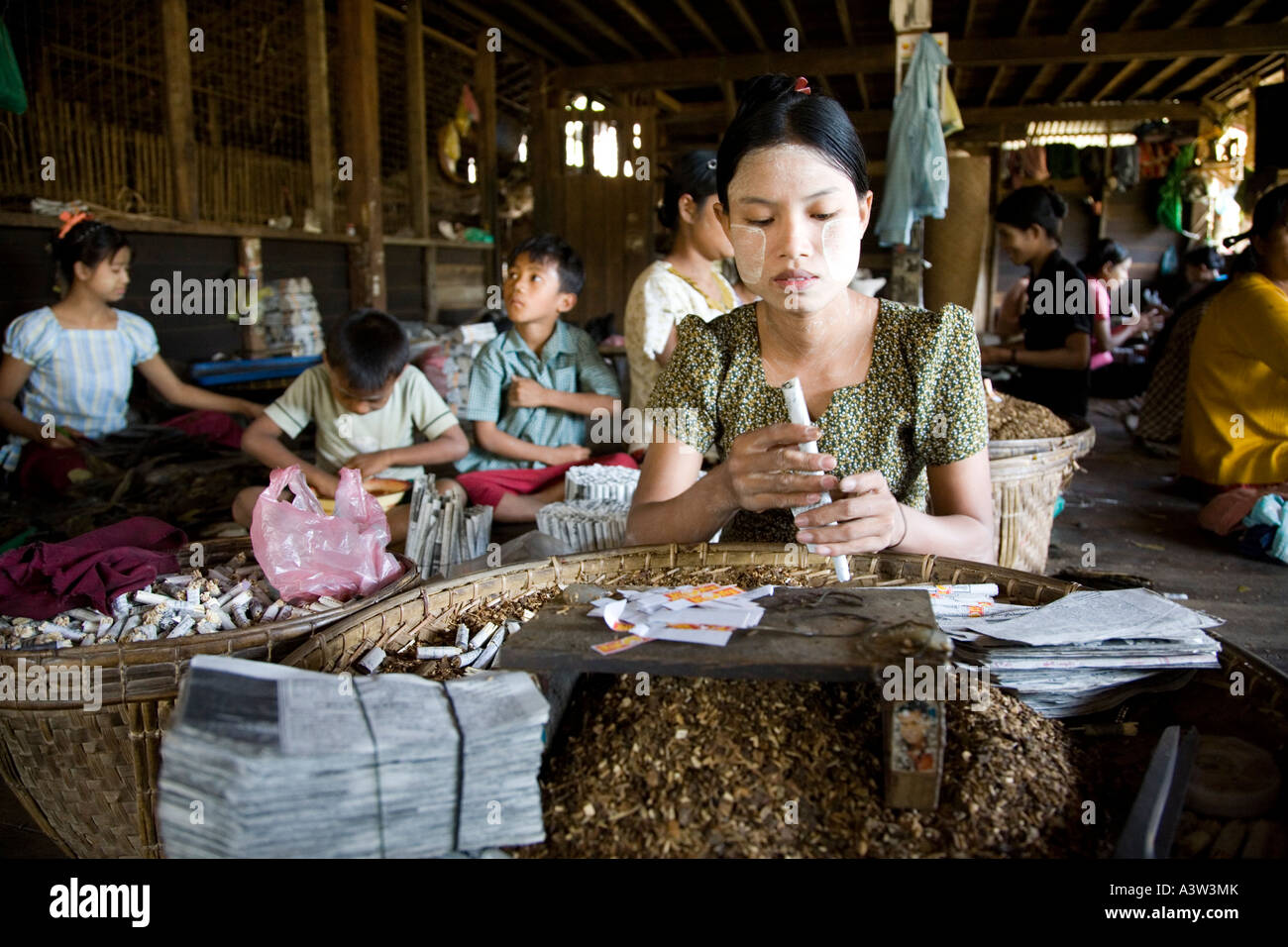Cheroot Factory, Bago, Myanmar Stock Photo - Alamy