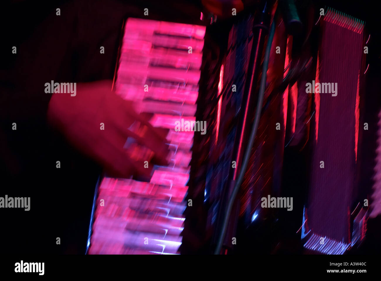 Accordion concert hi-res stock photography and images - Alamy