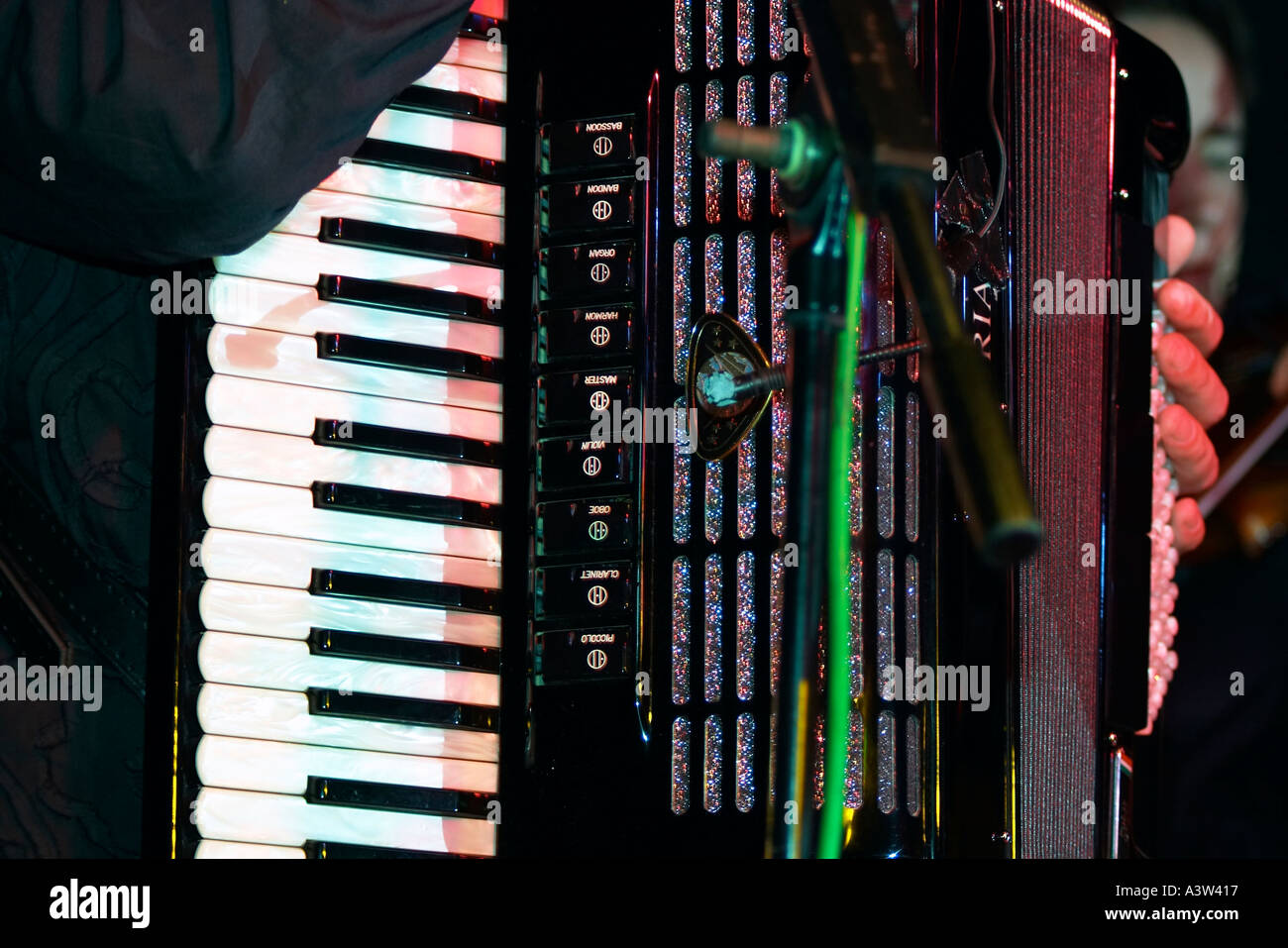 Accordion concert hi-res stock photography and images - Alamy