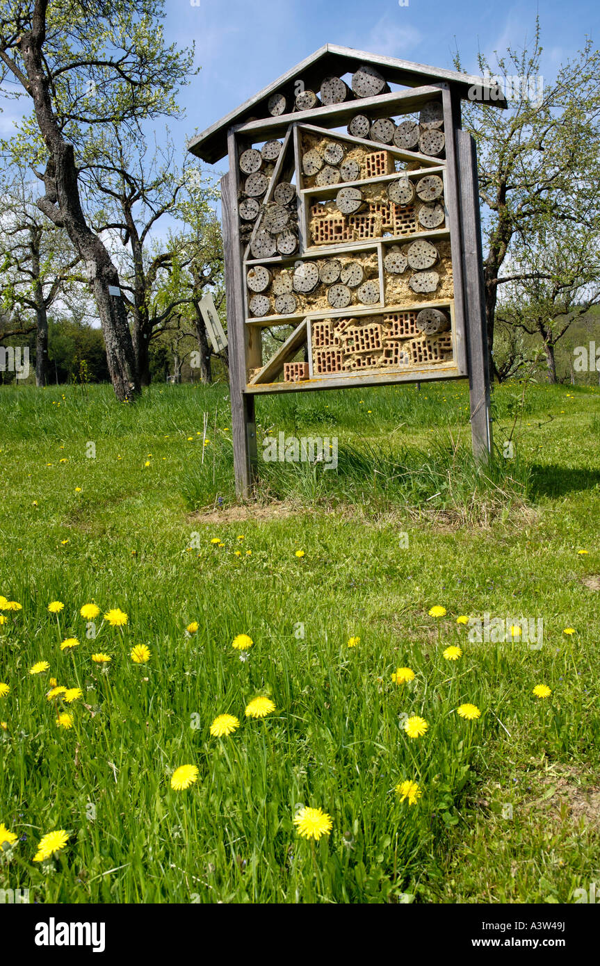 Nesting possibilities hi-res stock photography and images - Alamy